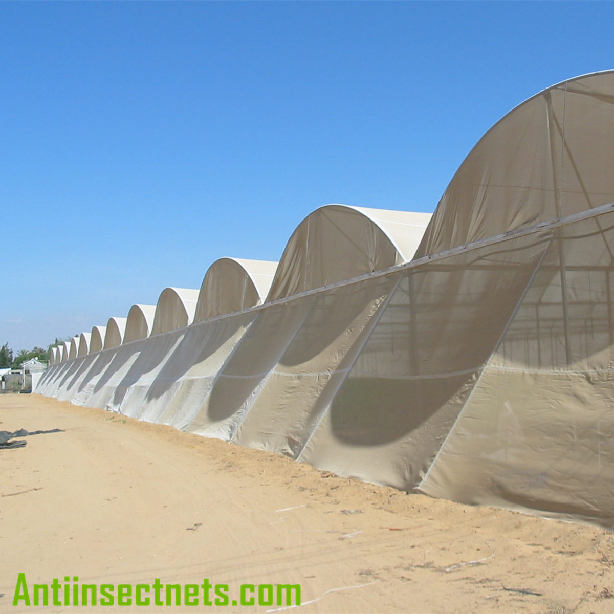 Greenhouse Insect Screens: Types, Characteristics | Anti Insect Netting ...